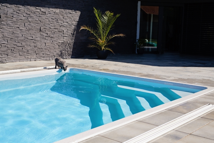 www.mountfield-pools.com